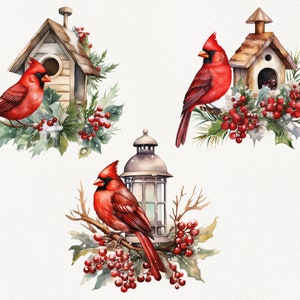 Watercolor Red Cardinals Clipart, Winter Birdhouse Cardinal, Cozy ...