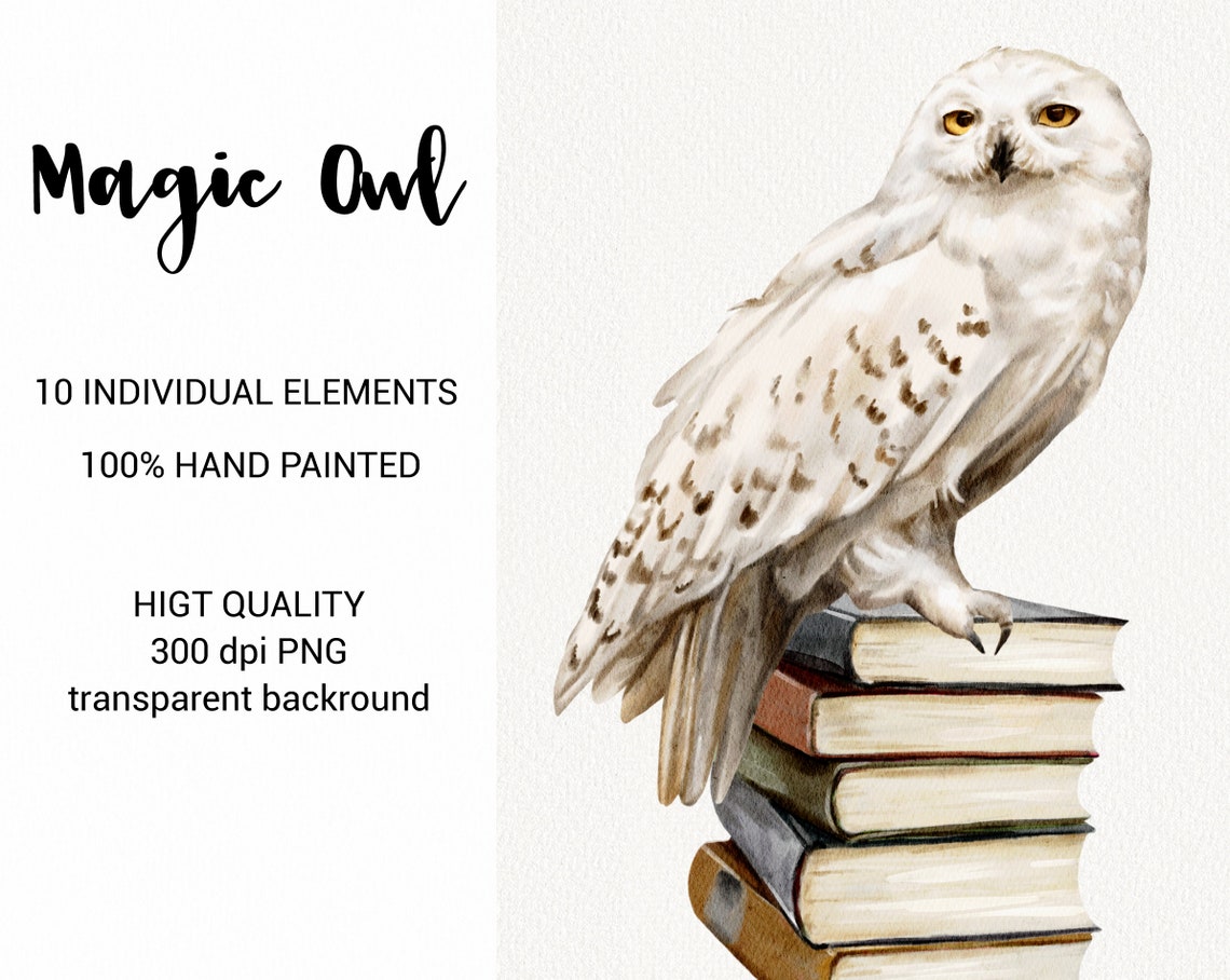 Watercolor Owl Clipart, Magic School, Wizard Clip Art, Hedwig Owl ...