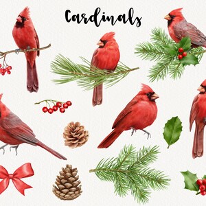 Watercolor Red Cardinals Clipart, Christmas Birds Clip Art, Winter ...