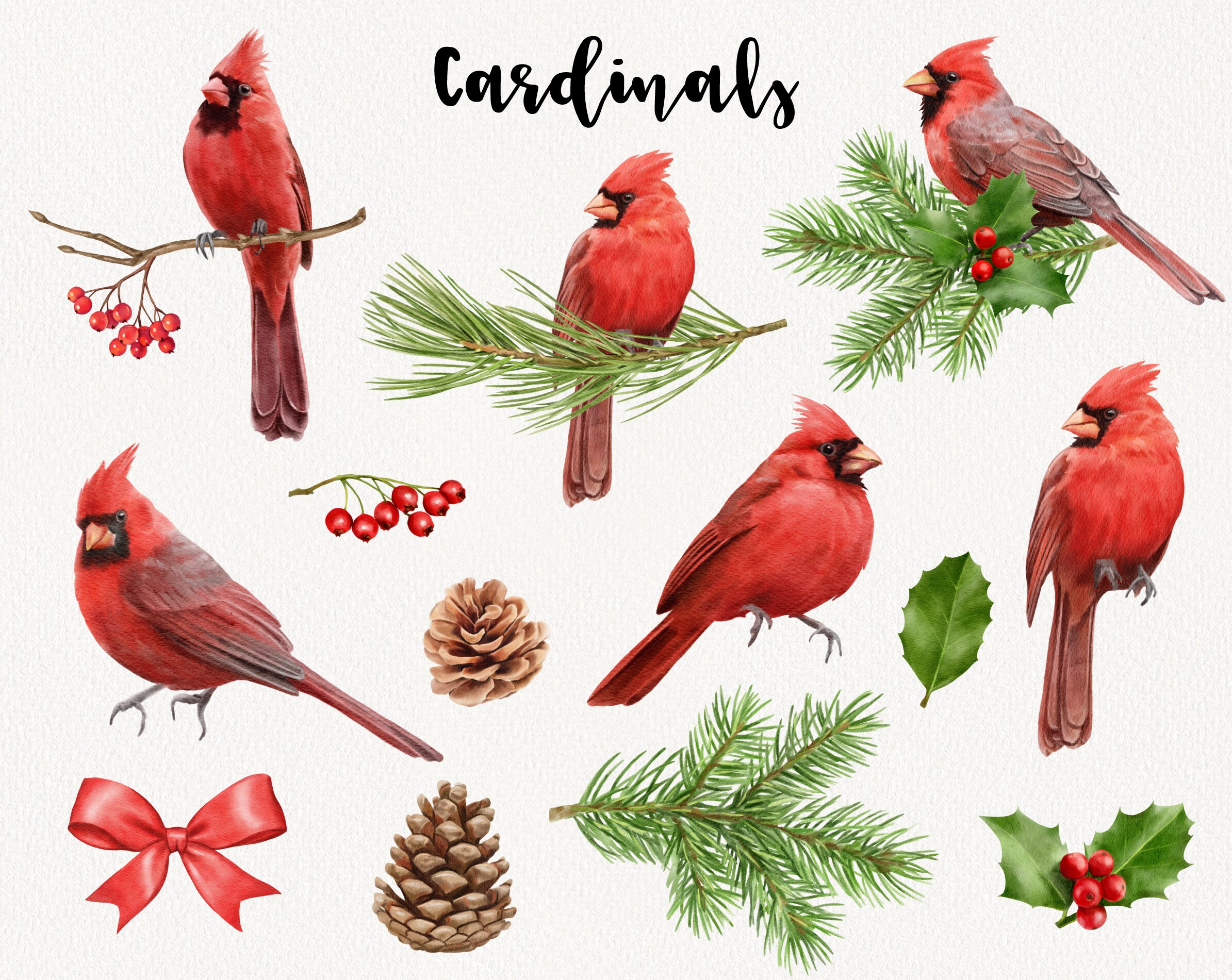 Watercolor Red Cardinals Clipart Christmas Birds Clip Art - Etsy