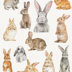 Watercolor Easter Clipart, Cute Bunny Clip Art, Rabbit, Spring Graphics ...