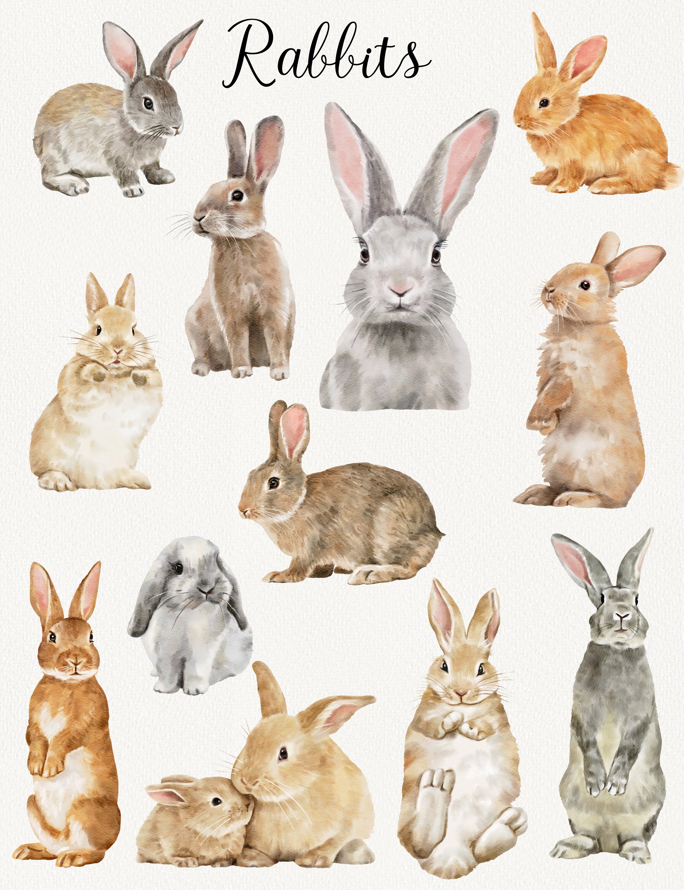 Watercolor Easter Clipart Cute Bunny Clip Art Rabbit Spring - Etsy
