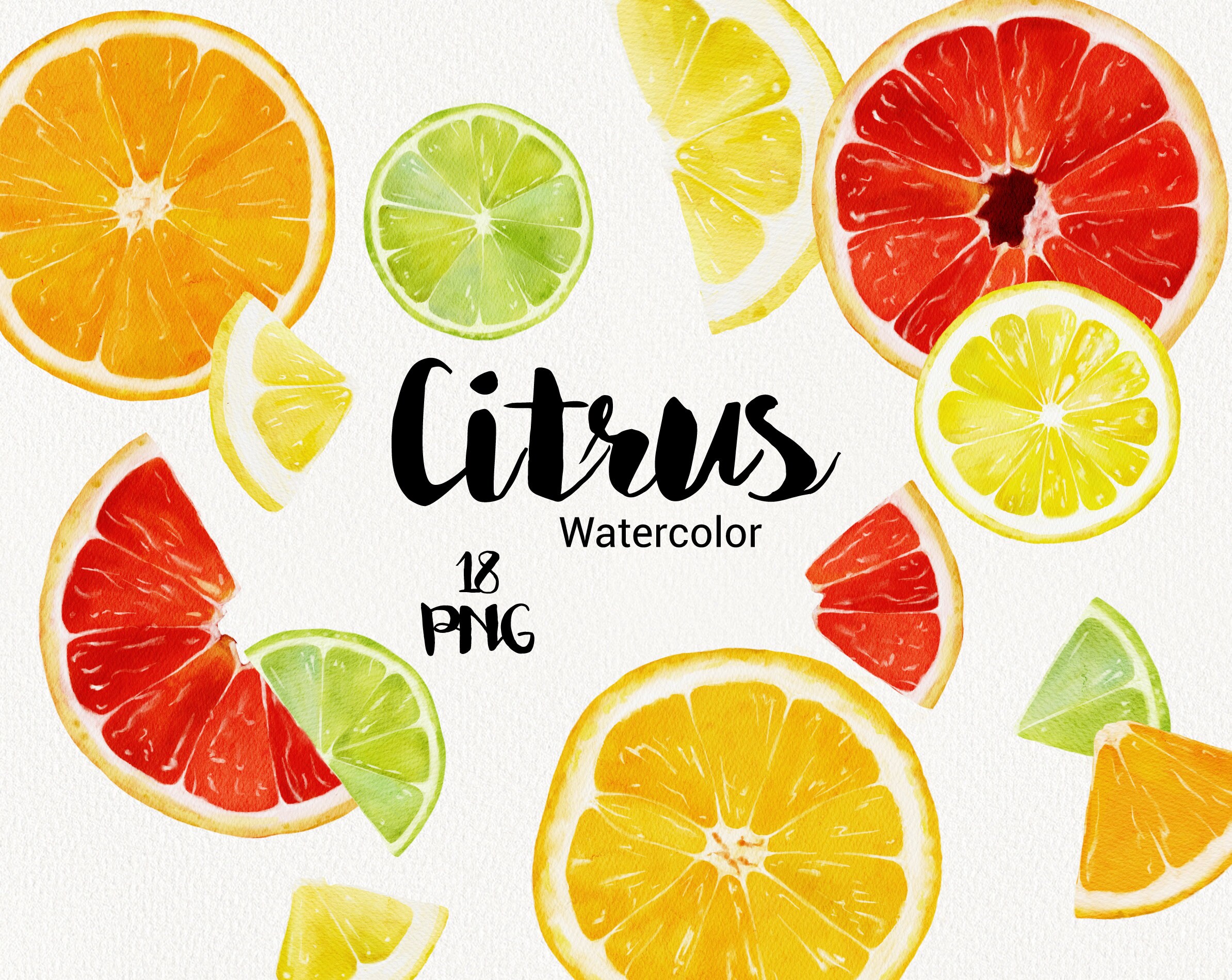 Watercolor Citrus Clipart Hand Painted Summer Lemon Orange - Etsy