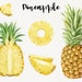 Watercolor Pineapple Clipart, Tropical Fruit Clip Art, Summer, Hand ...