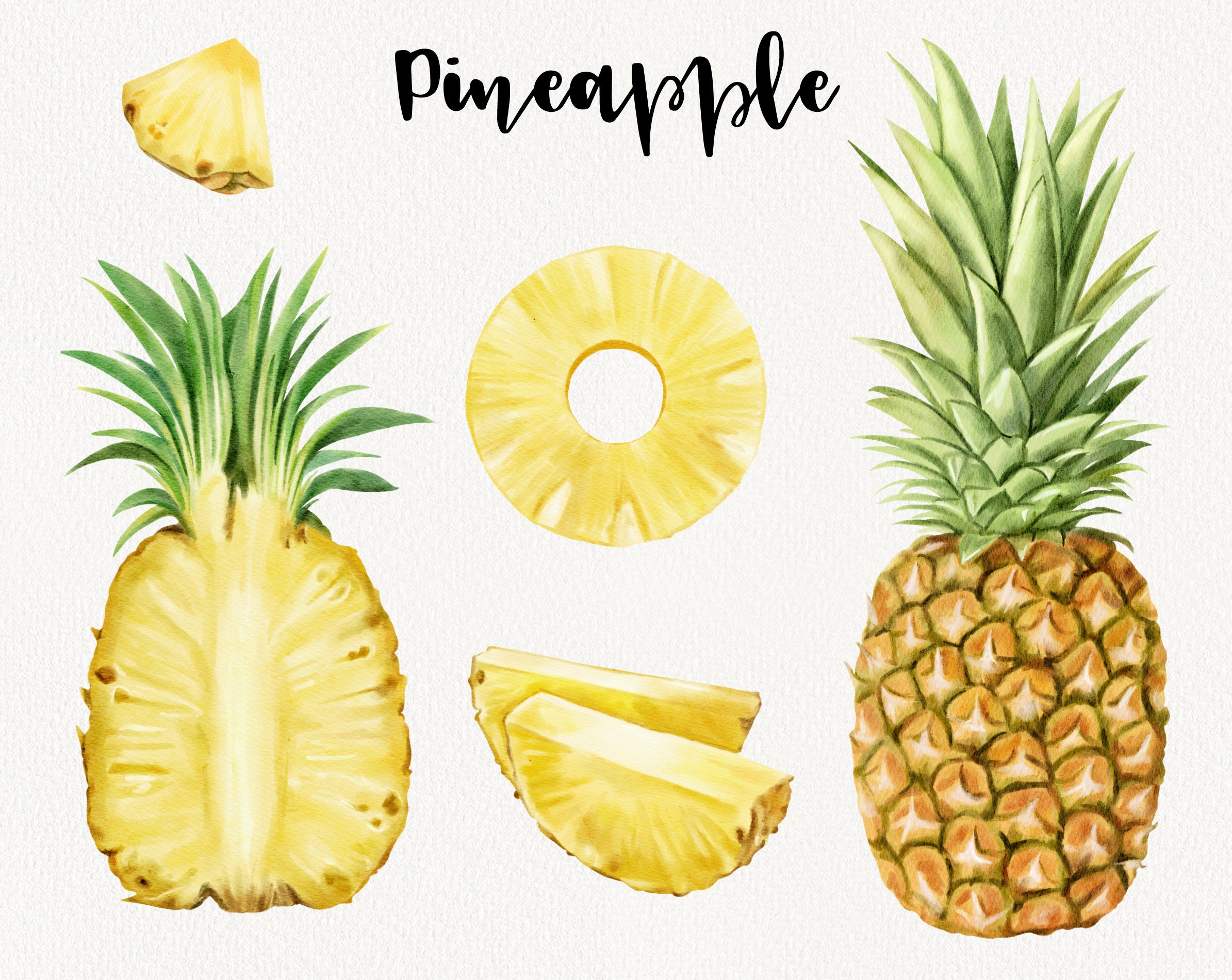 Watercolor Pineapple Clipart Tropical Fruit Clip Art Summer - Etsy
