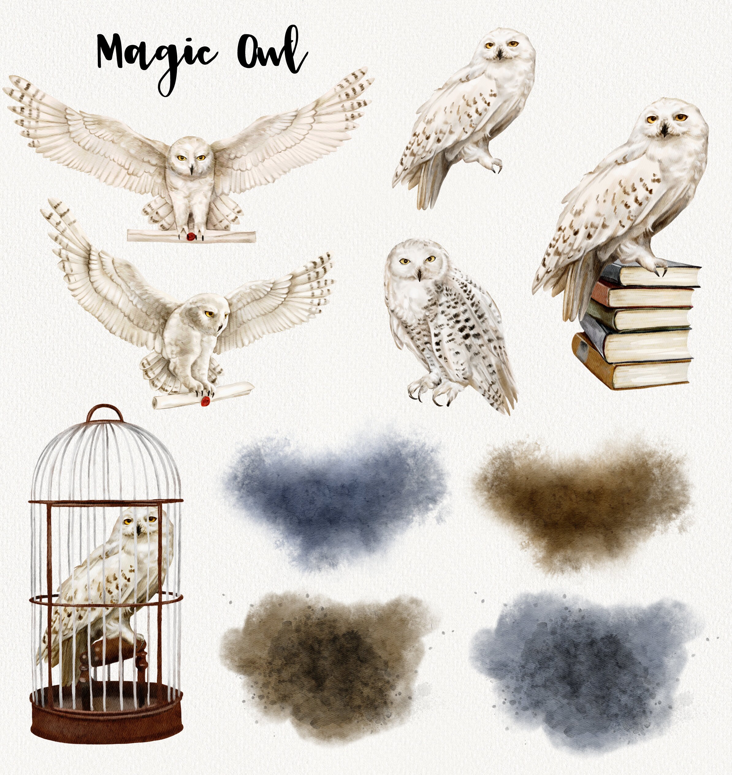 Watercolor Owl Clipart Magic School Wizard Clip Art Hedwig - Etsy