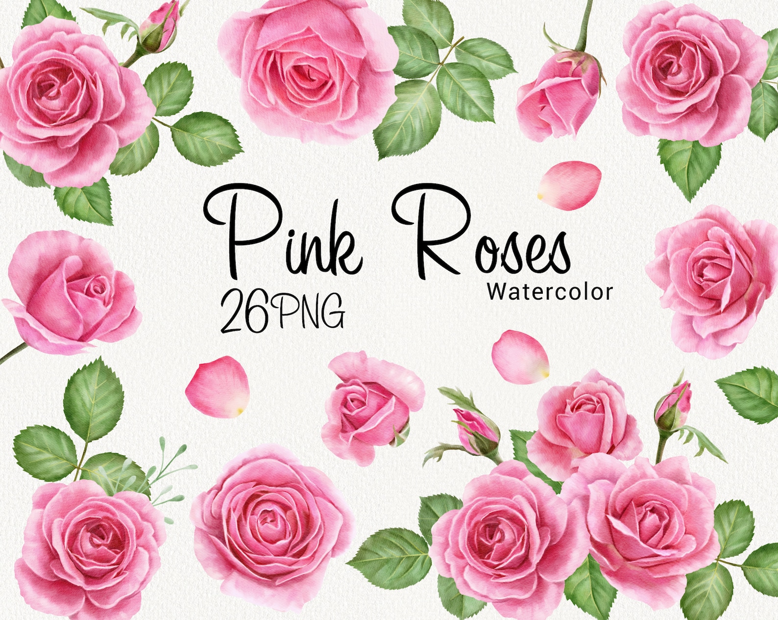 Watercolor Pink Roses Clipart, Valentine's Day Flower Clip Art, Vintage ...
