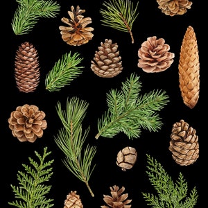Watercolor Pine Cone Clipart, Christmas Greenery Clip Art, Holiday ...