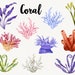 Watercolor Coral Reef Clipart, Under the Sea Life Clip Art, Anemone ...