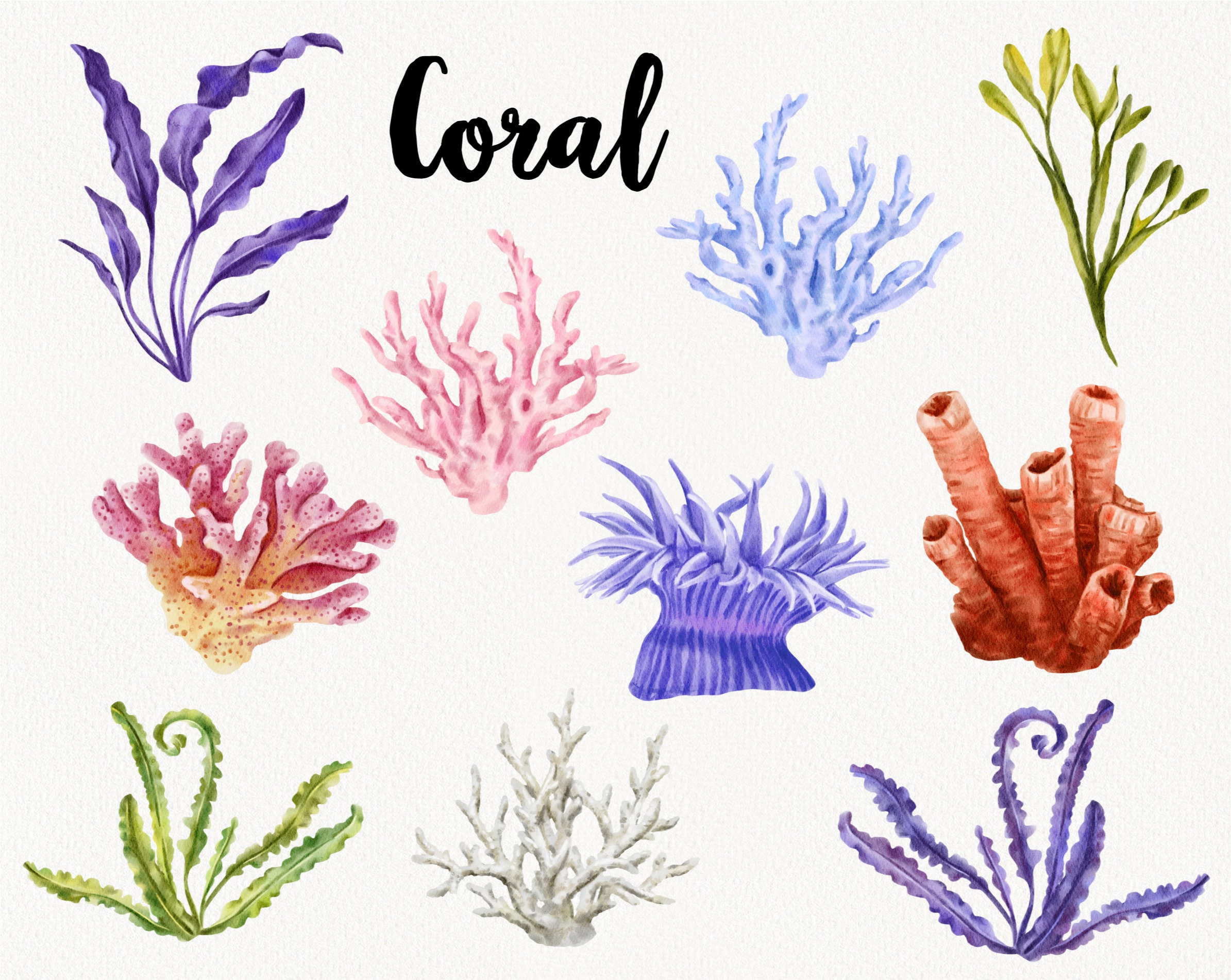 Watercolor Coral Reef Clipart Under the Sea Life Clip Art - Etsy