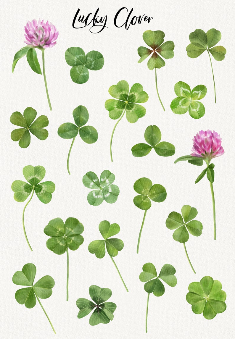 Watercolor Clover Clipart St. Patrick's Day Clip Art - Etsy