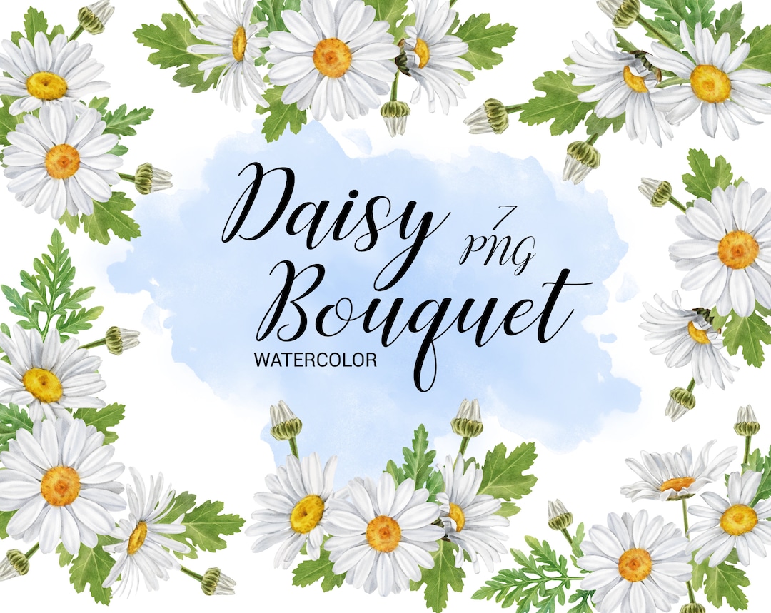 Watercolor Daisy Bouquet Clipart, Chamomile Spring Flowers, Hand ...
