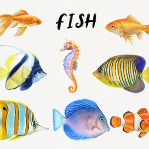 Watercolor Fish Clipart, Ocean Clip Art, Sea Life Animals, Tropical ...
