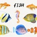 Watercolor Fish Clipart, Ocean Clip Art, Sea Life Animals, Tropical ...