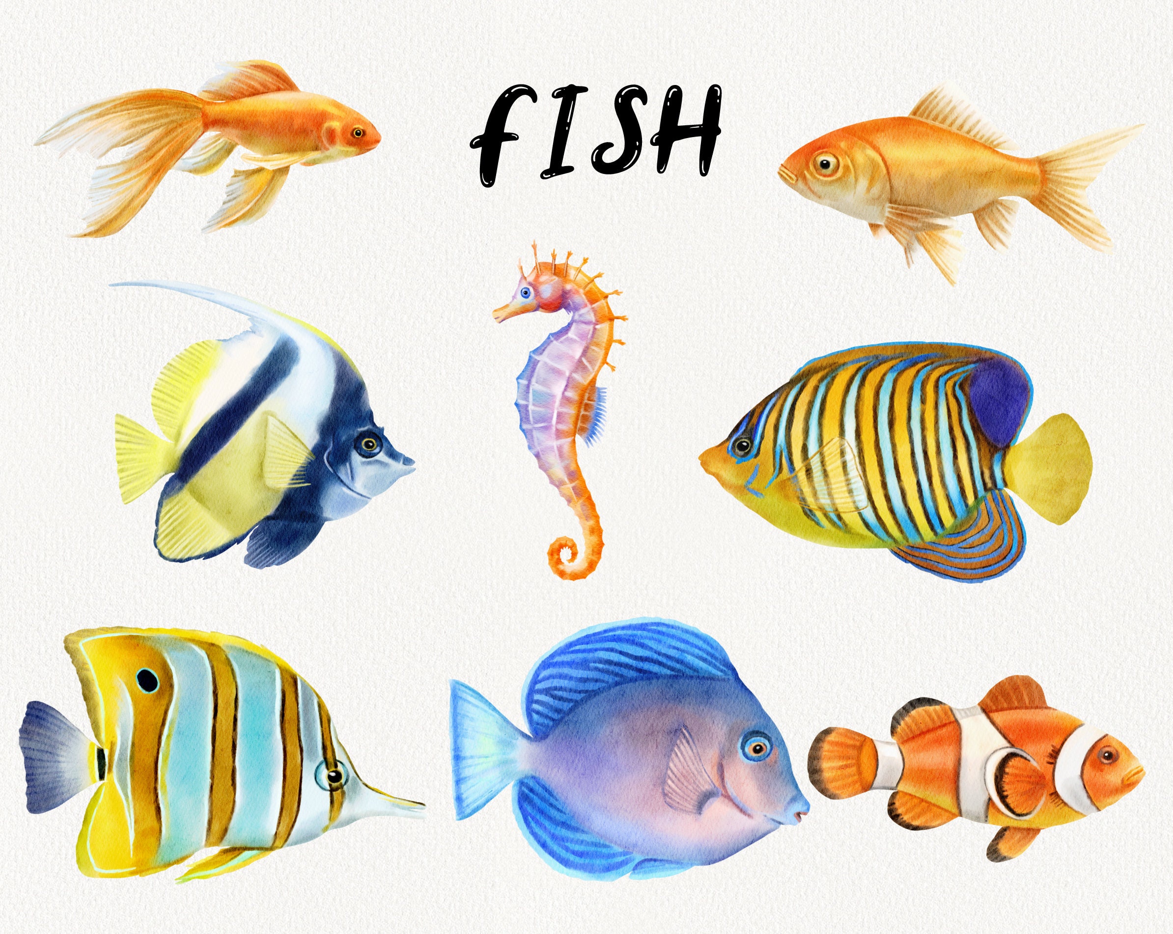 Watercolor Fish Clipart Ocean Clip Art Sea Life Animals - Etsy