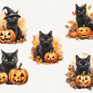 Watercolor Halloween Black Cat Clipart, Spooky Witch Cat, Cute Pumpkin ...
