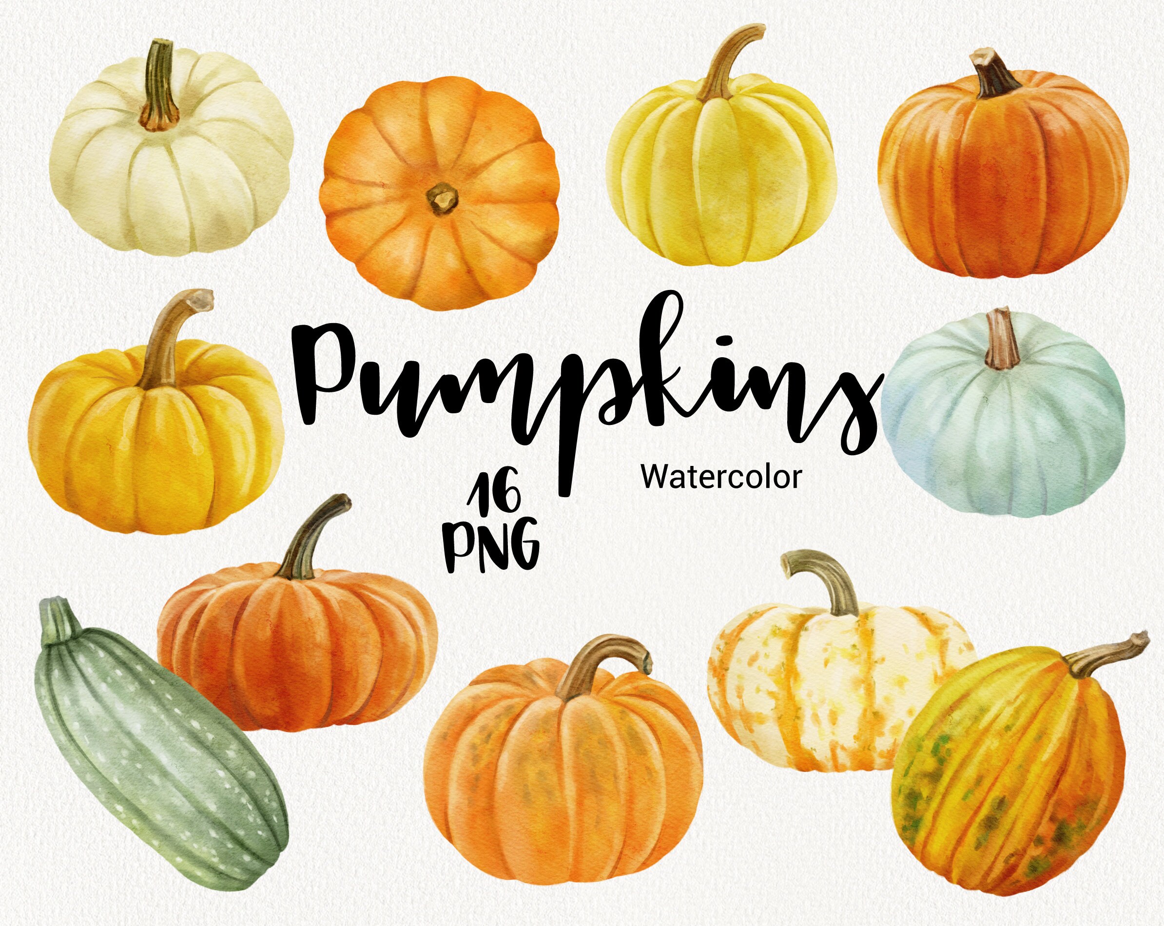 Pumpkin Clipart Watercolor Fall Autumn Clipart Orange and - Etsy