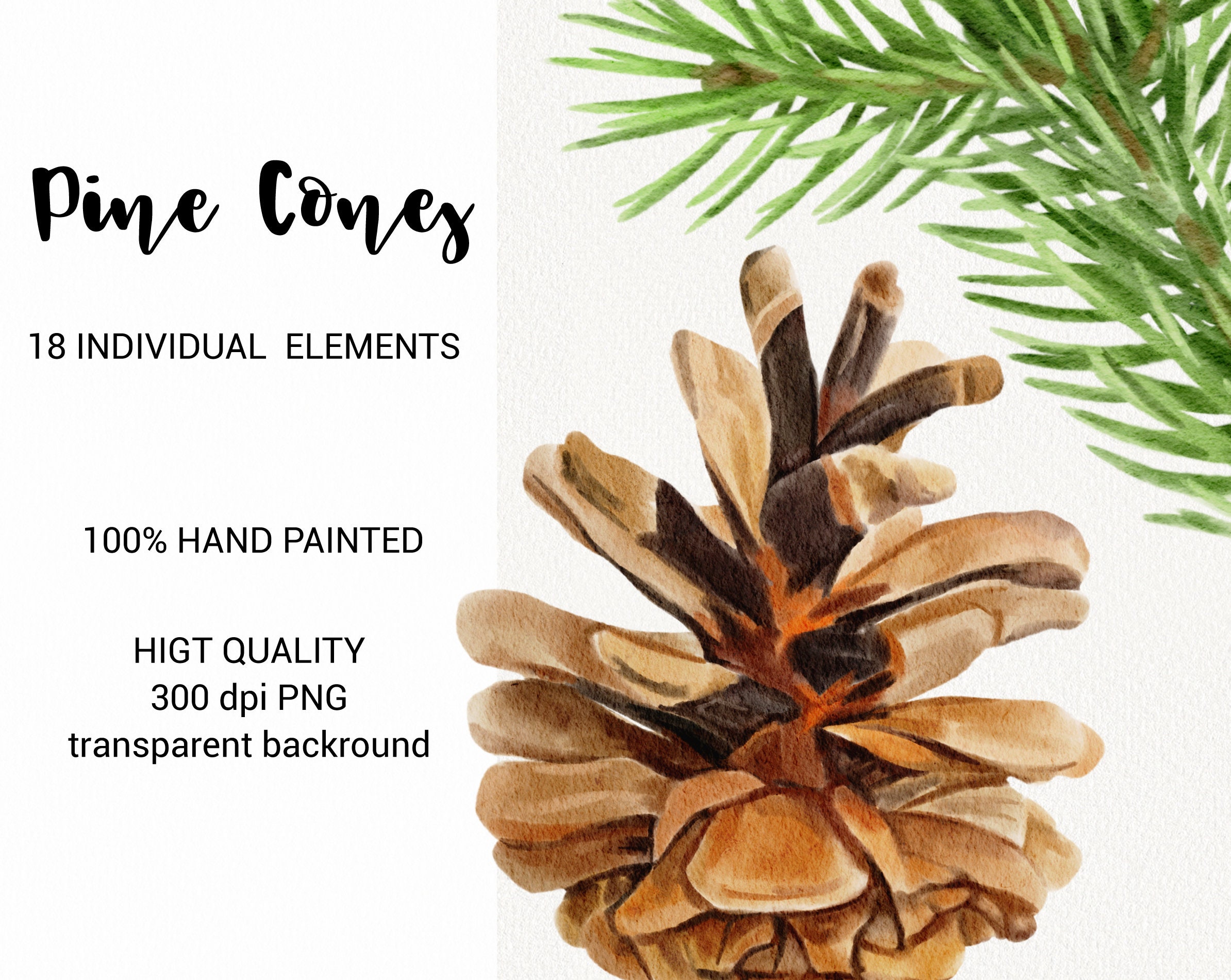 Watercolor Pine Cone Clipart Christmas Greenery Clip Art - Etsy