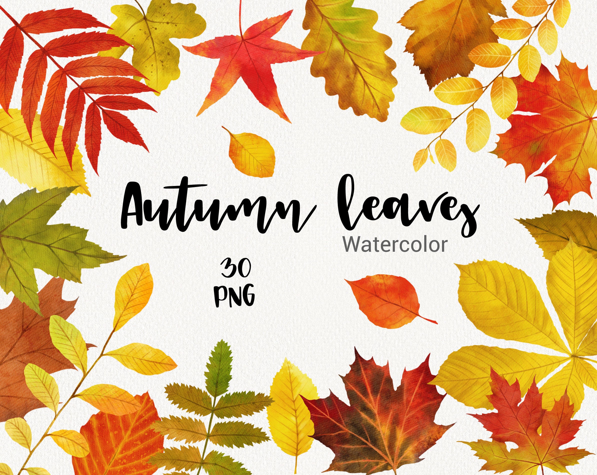 Autumn Leaves Clipart Watercolor Fall Clip Art Orange Green - Etsy