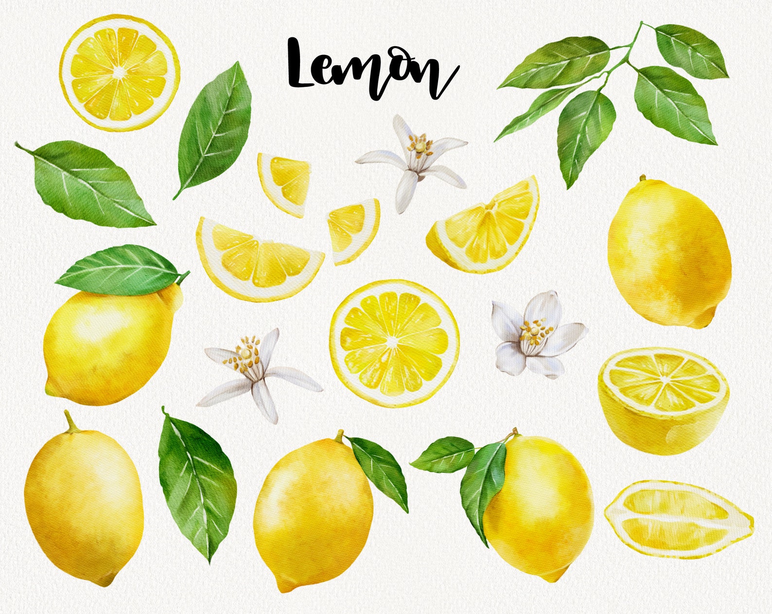 Watercolor Lemon Clipart, Hand Painted Summer Lemon Fruit Clip Art ...