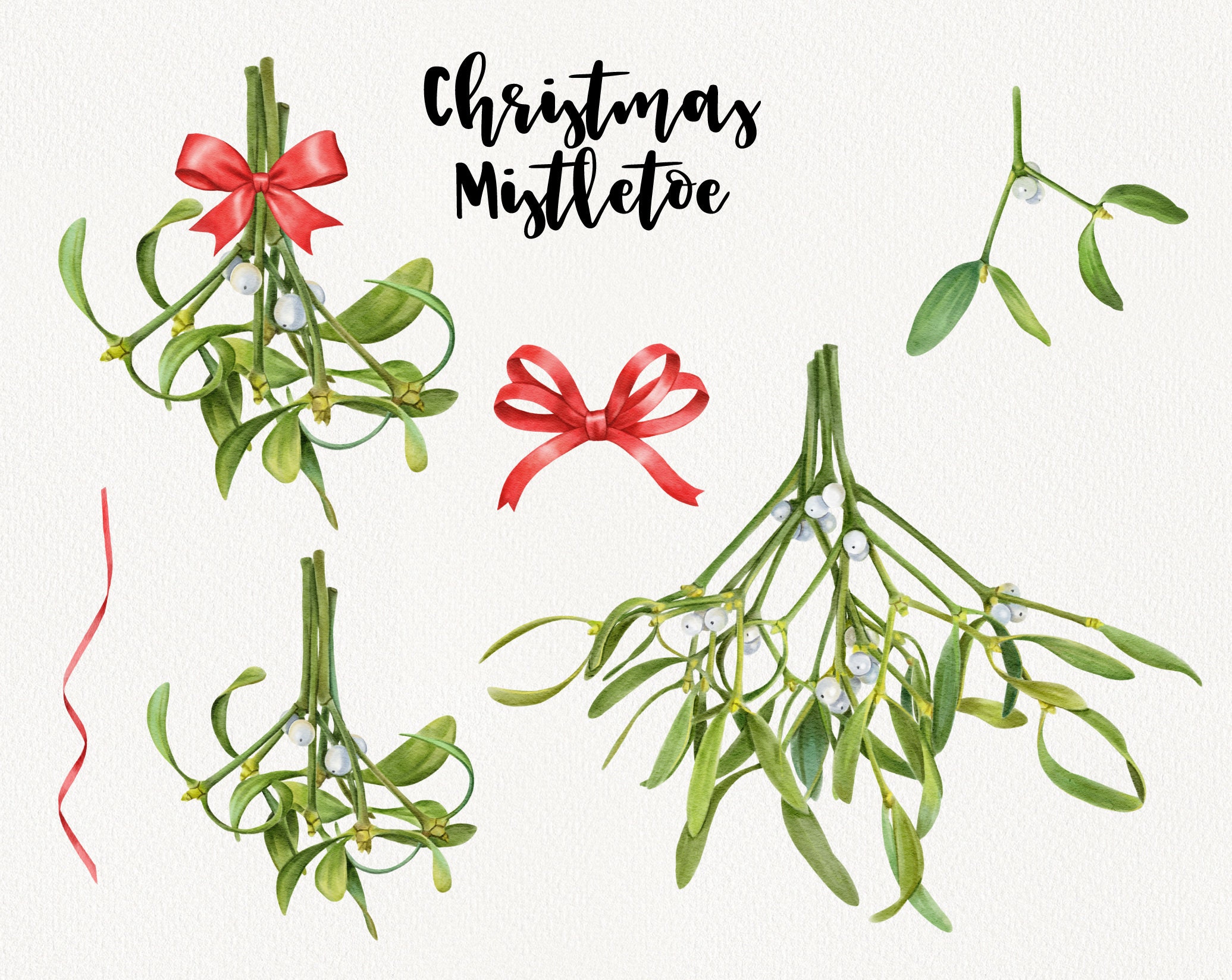 Christmas Mistletoe Clipart Watercolor Clip Art Winter - Etsy
