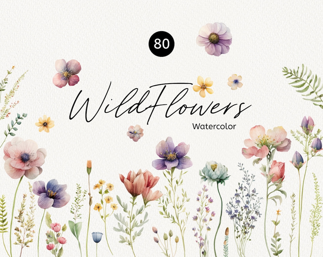 Watercolor Wildflowers Clipart, Meadow Floral Clip Art, Summer Flowers ...