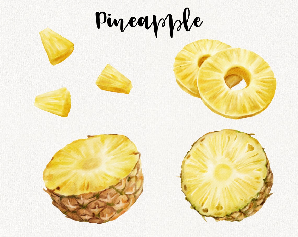 Watercolor Pineapple Clipart Tropical Fruit Clip Art Summer - Etsy