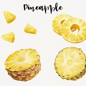 Watercolor Pineapple Clipart, Tropical Fruit Clip Art, Summer, Hand ...