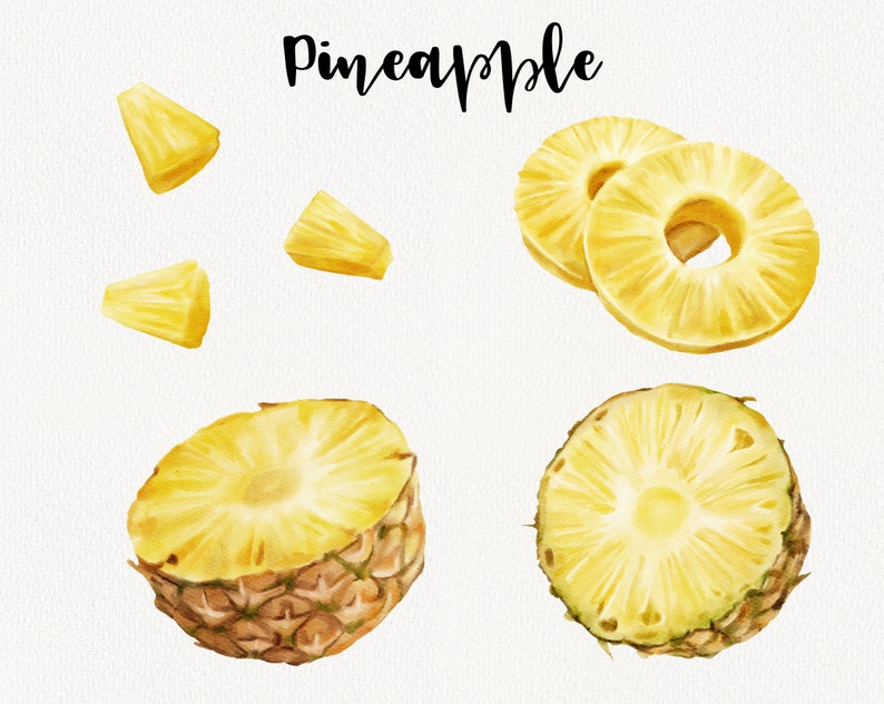 Watercolor Pineapple Clipart Tropical Fruit Clip Art Summer - Etsy