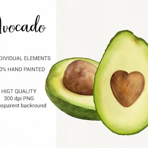 Watercolor Avocado Clipart, Tropical Fruit Clipart, Summer Clip Art ...