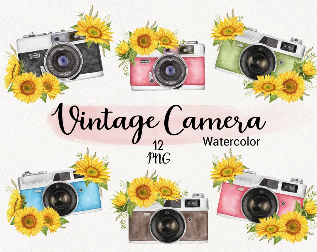 Floral Vintage Camera Clipart, Watercolor Retro Photo Cameras With ...