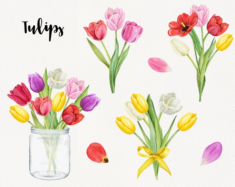 Watercolor Tulip Clipart, Easter Spring Flowers, Mothers Day, Tulips ...