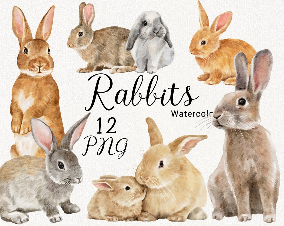 Watercolor Easter Clipart, Cute Bunny Clip Art, Rabbit, Spring Graphics ...