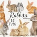 Watercolor Easter Clipart, Cute Bunny Clip Art, Rabbit, Spring Graphics ...