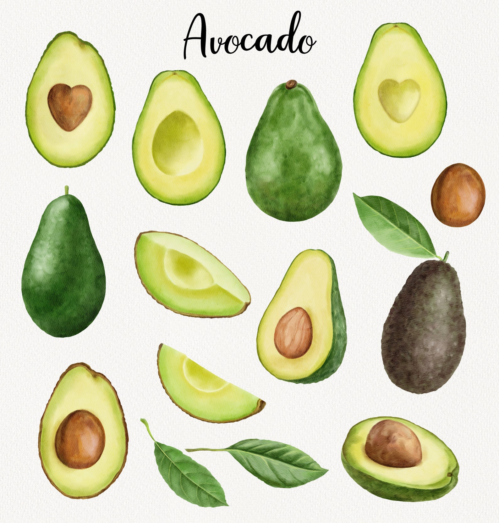 Watercolor Avocado Clipart Tropical Fruit Clipart Summer - Etsy