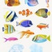 Watercolor Fish Clipart, Ocean Clip Art, Sea Life Animals, Tropical ...