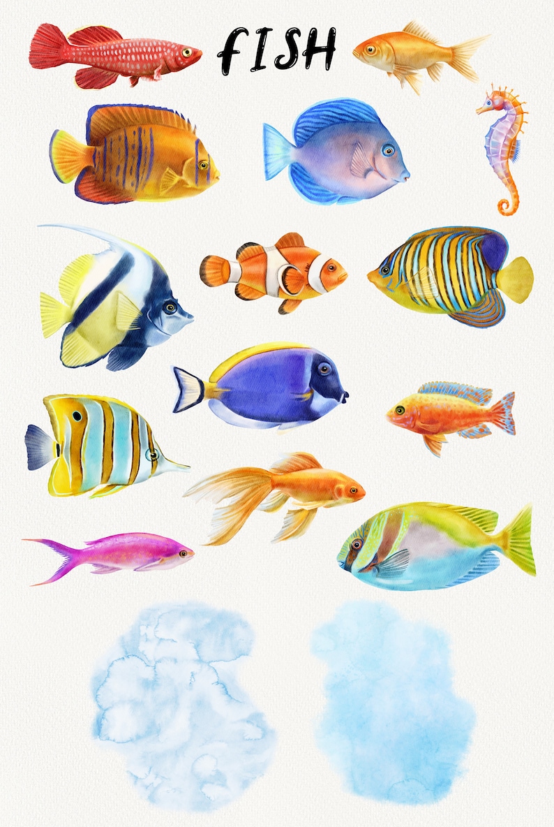 Watercolor Fish Clipart, Ocean Clip Art, Sea Life Animals, Tropical ...