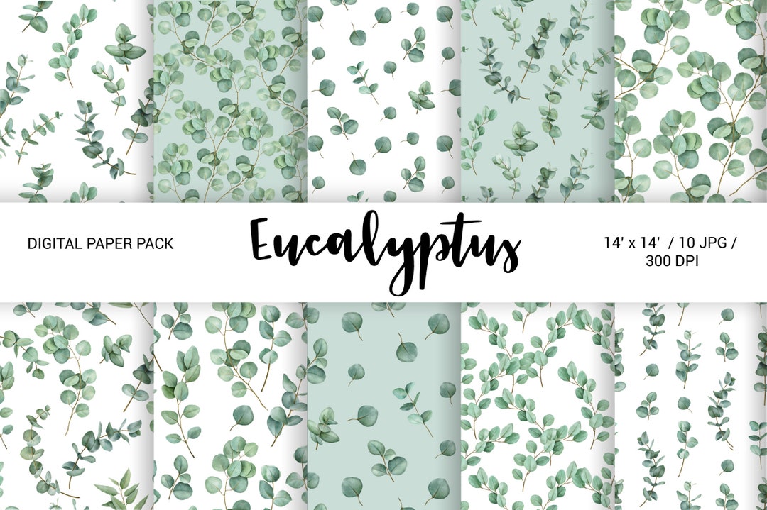 Watercolor Eucalyptus, Digital Seamless Paper Pack, Greenery Pattern ...