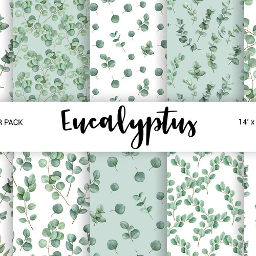 Watercolor Eucalyptus Digital Paper Seamless Eucalyptus - Etsy