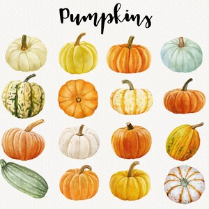 Pumpkin Clipart, Watercolor Fall Autumn Clipart, Orange and Green Cute ...