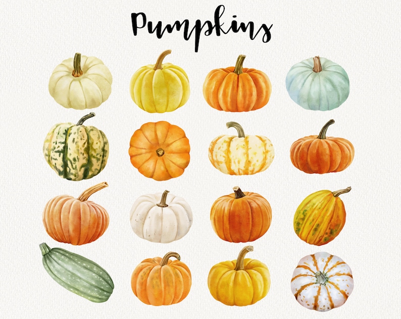 Pumpkin Clipart Watercolor Fall Autumn Clipart Orange and - Etsy
