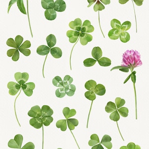Watercolor St. Patrick's Day Clipart, Gnome Clipart, Shamrock, Clover ...