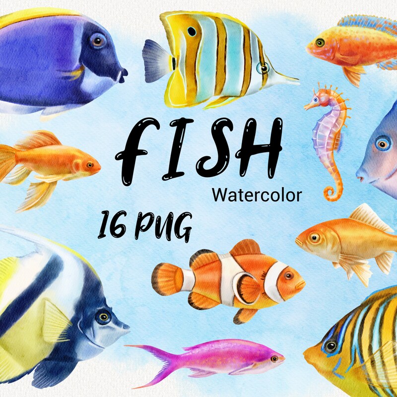 Fish Clipart - Etsy
