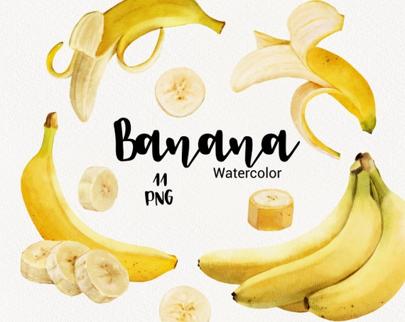 Watercolor Banana Clipart Isolated Digital for Instant - Etsy