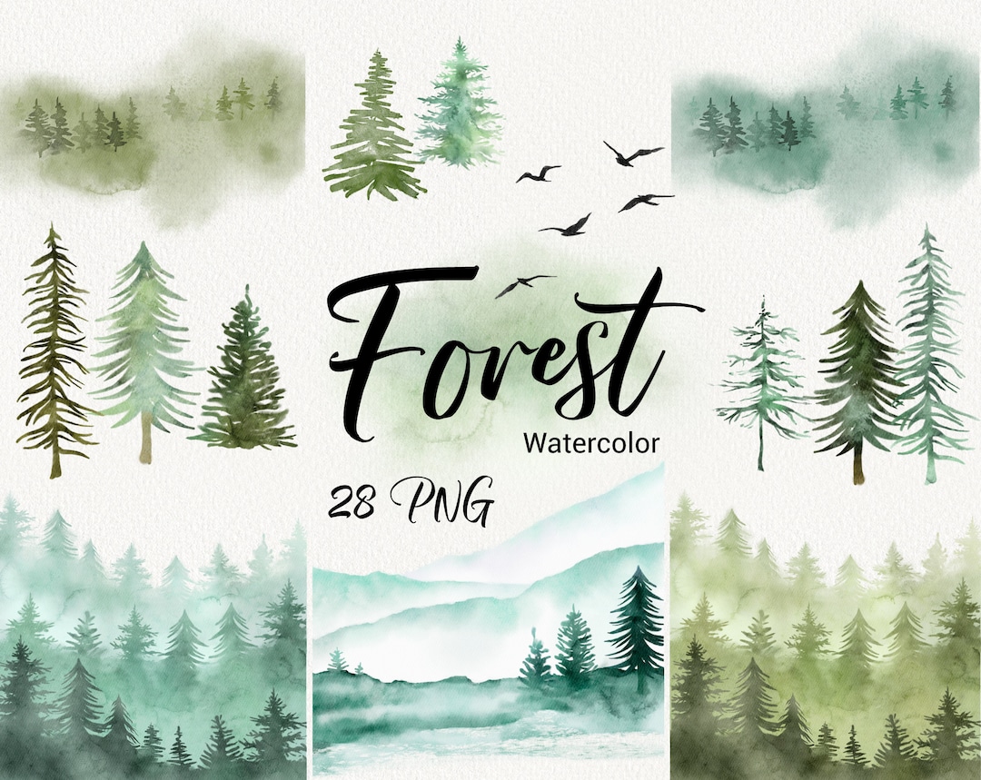 Watercolor Forest Tree Clipart, Pine Tree Clipart, Woodland Pine Trees ...