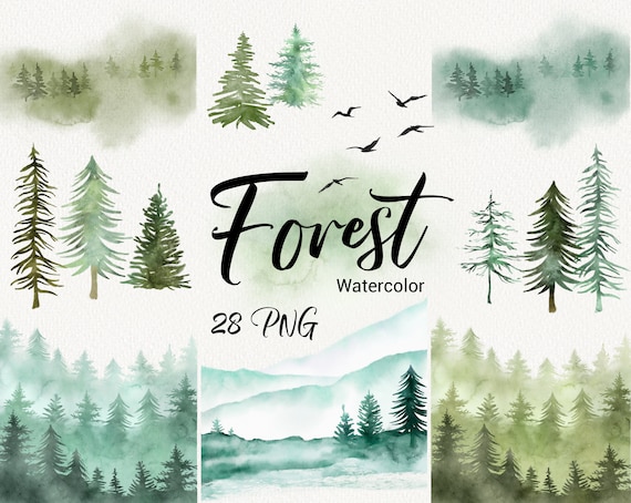 Watercolor Forest Tree Clipart Pine Tree Clipart Woodland - Etsy Canada