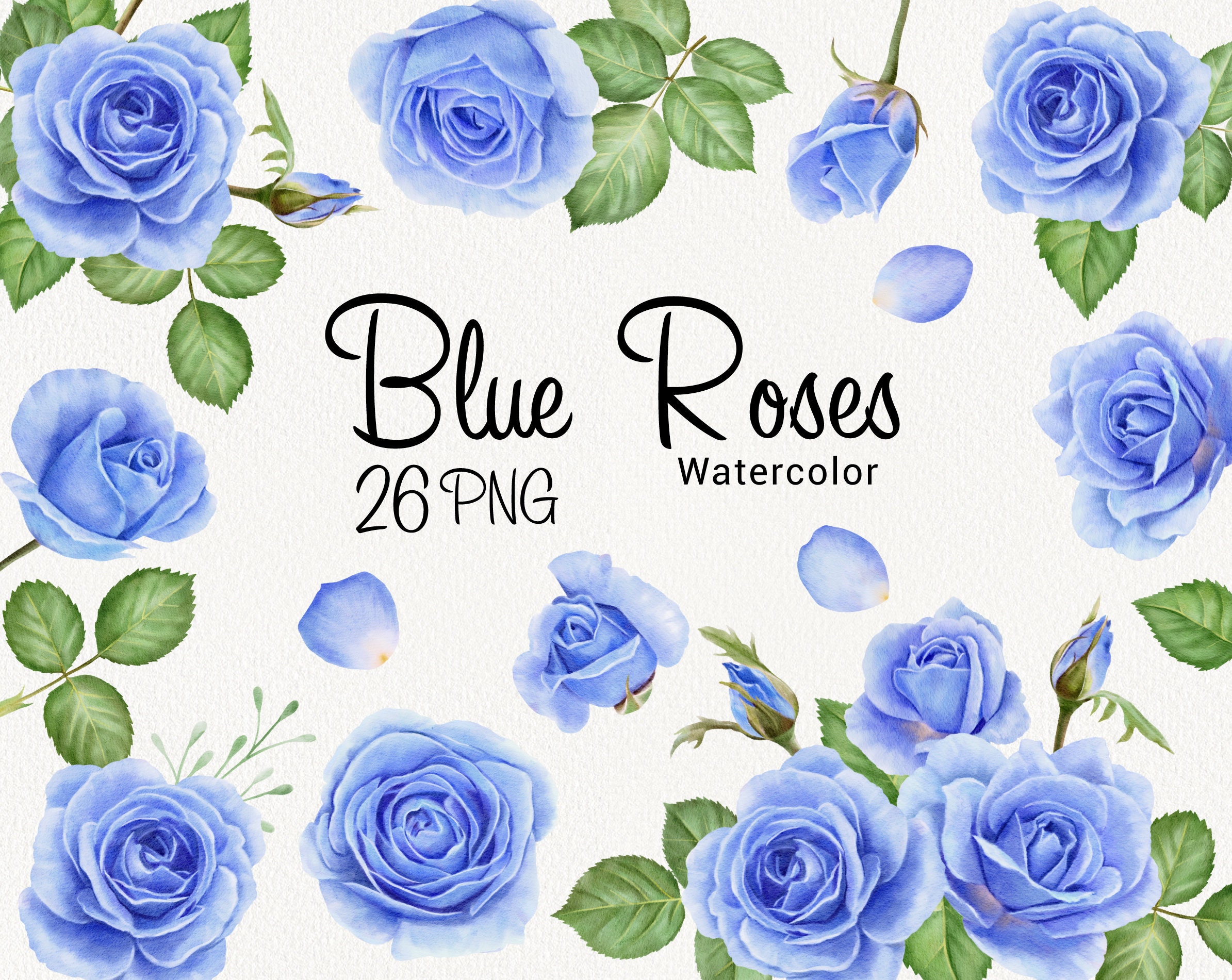 Blue Rose Corner Border