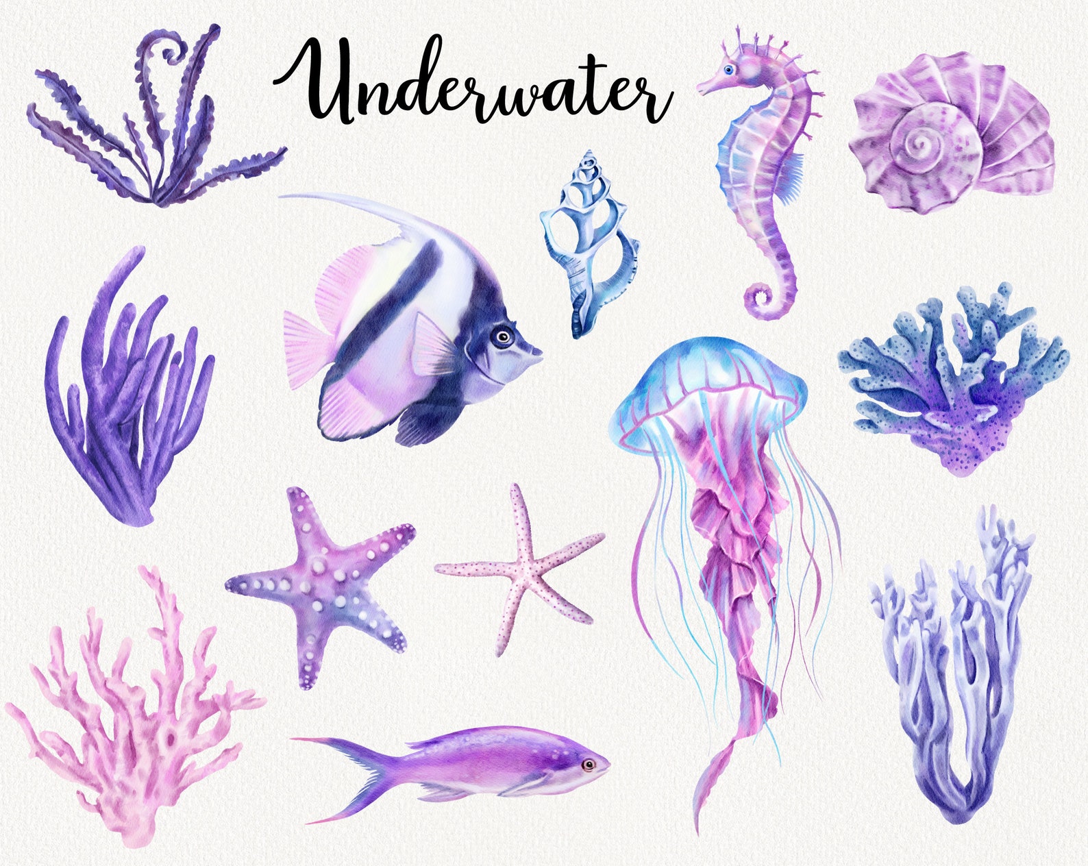 Watercolor Underwater Clipart Nautical Clip Art Sea Life - Etsy