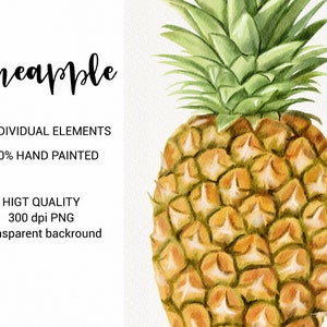 Watercolor Pineapple Clipart, Tropical Fruit Clip Art, Summer, Hand ...