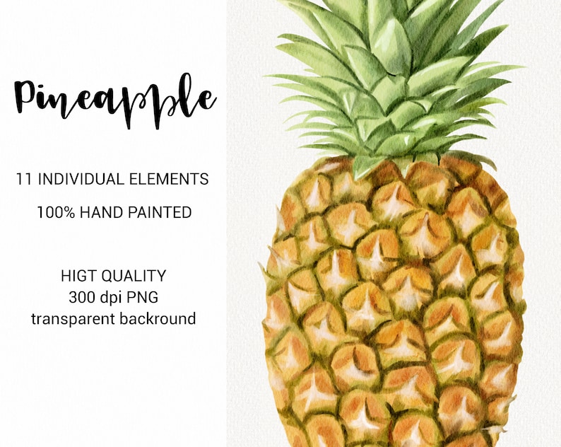 Watercolor Pineapple Clipart Tropical Fruit Clip Art Summer - Etsy